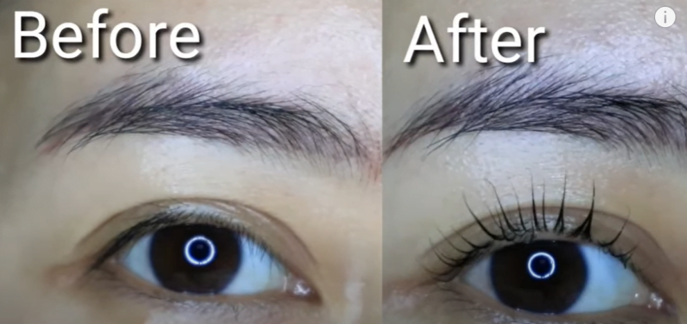 Lash Lift VS Lash Perm: What's the Difference (2023) - ICONSIGN